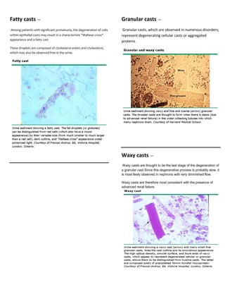 23 Urinalysis In The Diagnosis Of Renal Disease | PDF