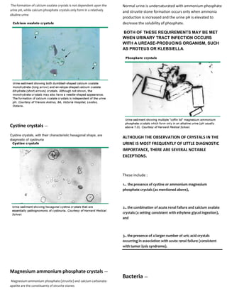 23 Urinalysis In The Diagnosis Of Renal Disease | PDF