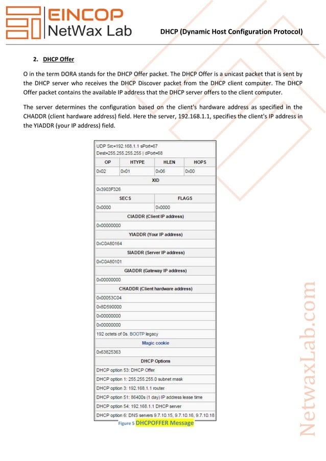 Dhcp Dynamic Host Configuration Protocol Pdf