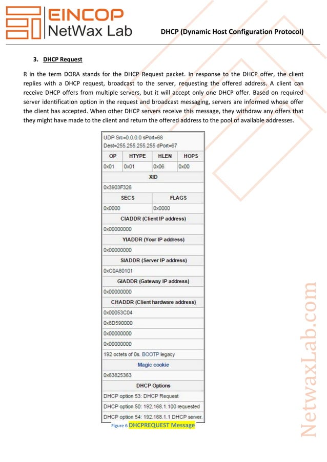 Dhcp Dynamic Host Configuration Protocol Pdf