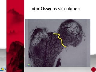 femoral neck and trochanteric fracture | PPT