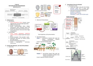 PERTUMBUHAN DAN PERKEMBANGAN | PDF