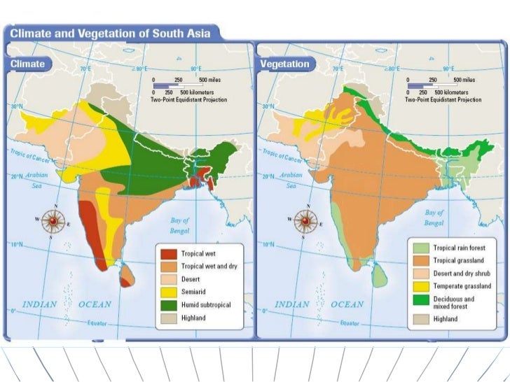 Asia Vegetation Map