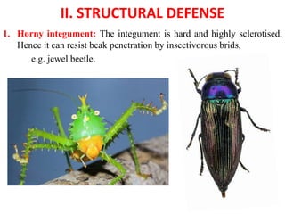 Offense and defense behavior in insects | PPTX
