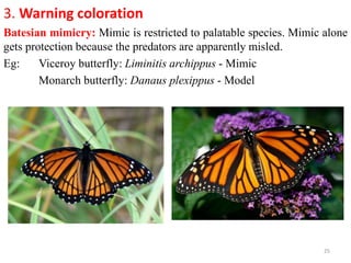 Offense and defense behavior in insects | PPTX