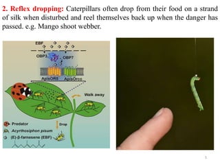 Offense and defense behavior in insects | PPTX
