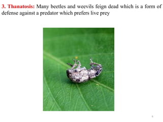 Offense and defense behavior in insects | PPTX