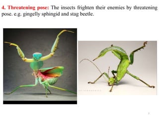 Offense and defense behavior in insects | PPTX