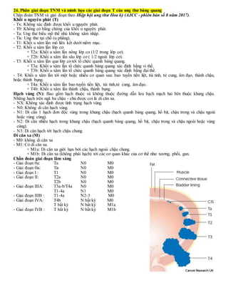 Cập nhật phân loại giai đoạn Ung thư bàng quang bản 8 - AJCC 2017 | DOCX