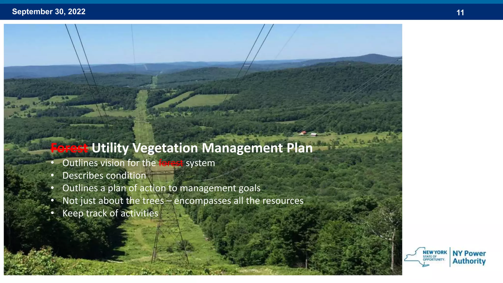 Long Range Vegetation Management Plan – What is it | PPTX | Landscaping ...