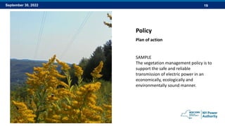 Long Range Vegetation Management Plan – What is it | PPTX | Landscaping ...