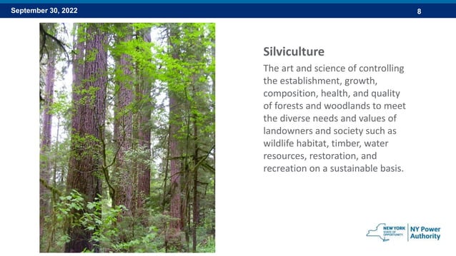 Long Range Vegetation Management Plan – What is it | PPTX | Landscaping ...