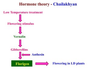 24.pdf | Gardening | Home & Garden