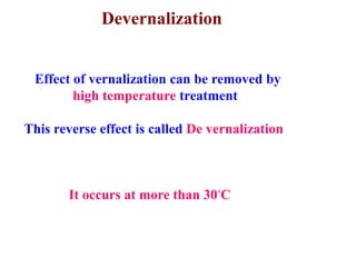 24.pdf | Gardening | Home & Garden