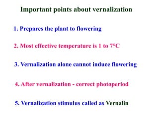 24.pdf | Gardening | Home & Garden