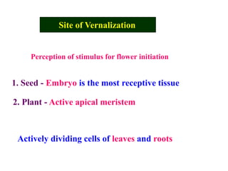 24.pdf | Gardening | Home & Garden