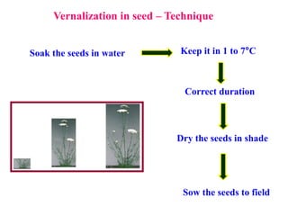 24.pdf | Gardening | Home & Garden