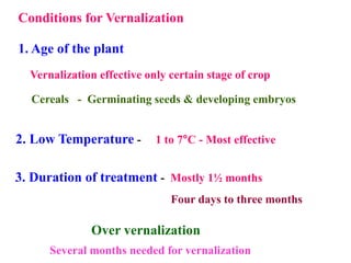 24.pdf | Gardening | Home & Garden