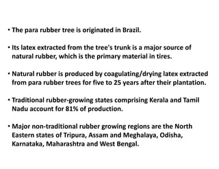 24. Para-Rubber.pdf