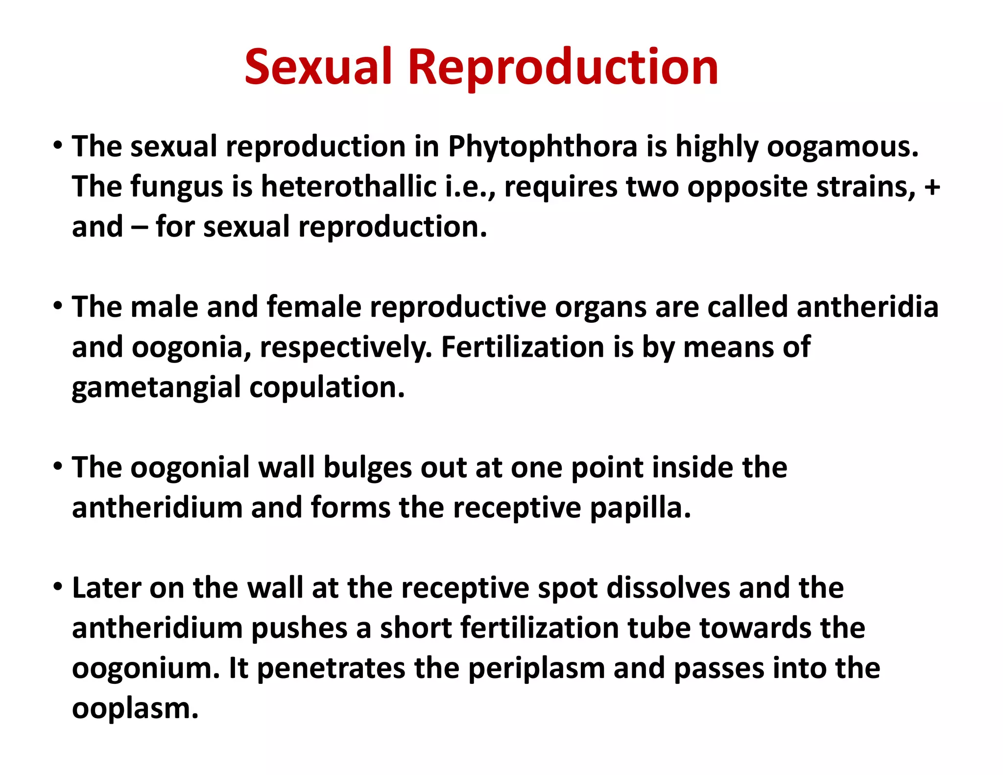 24. Phytophthora.pdf