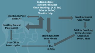 24. ACLS Protocol.pptx