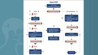 24. ACLS Protocol.pptx