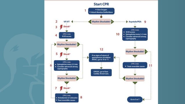 24. ACLS Protocol.pptx