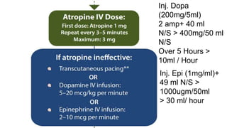 24. ACLS Protocol.pptx