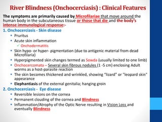 24. Nematode - Onchocerca volvulus.pdf slides | PDF