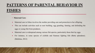 24. Parental care in fishes.........pptx