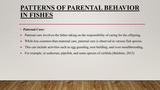 24. Parental care in fishes.........pptx