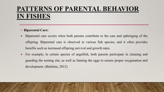 24. Parental care in fishes.........pptx