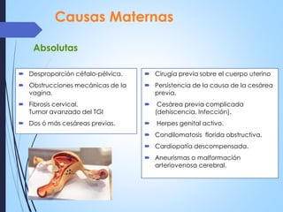 CESAREA en area de ginecologia y obstetricia | PDF
