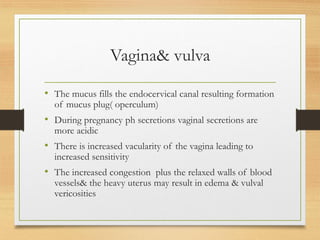 24. Changes in the reproductive system and breasts.pdf