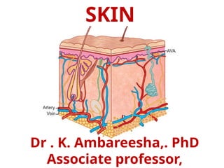 SKIN CIRCULATION FROM DR K AMBAREESHA,. PHD | PPT