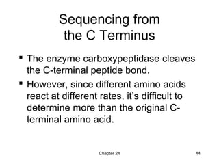 24 - Amino Acids, Peptides, and Proteins - Wade 7th | PPT