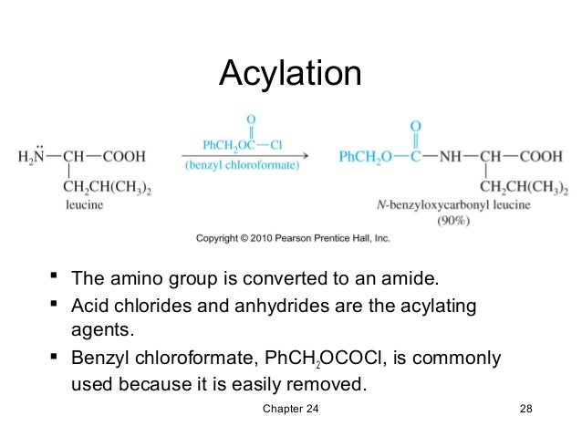24 - Amino Acids, Peptides, and Proteins - Wade 7th
