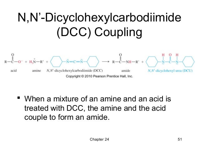 24 - Amino Acids, Peptides, and Proteins - Wade 7th