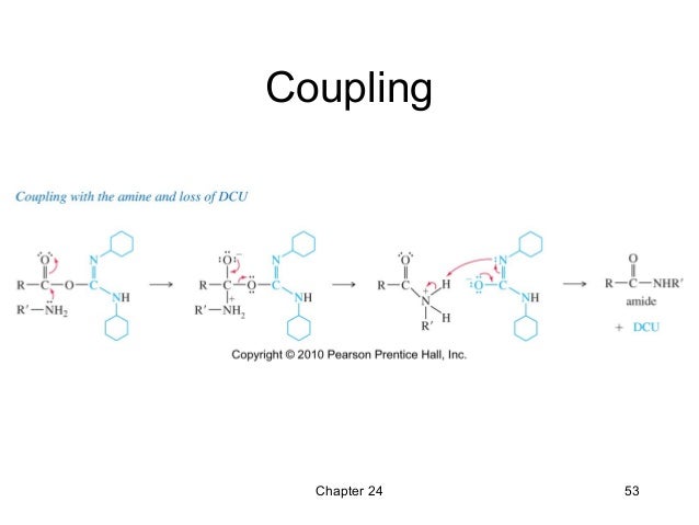 24 - Amino Acids, Peptides, and Proteins - Wade 7th