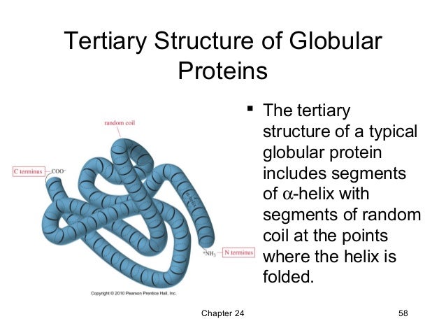 24 - Amino Acids, Peptides, and Proteins - Wade 7th