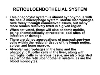 24. blood 2-07-08 | PPT