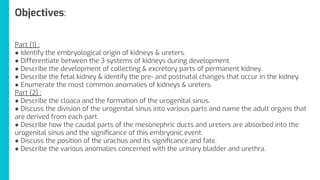 2 & 4- Development of the kidney, ureter, bladder & urethra.pdf