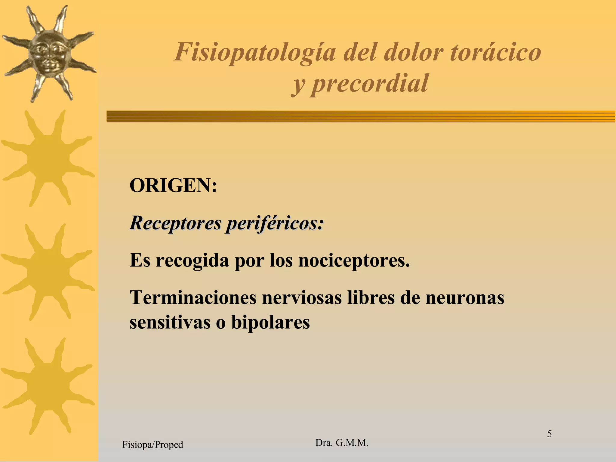 24. Dolor Toracico Y Precordial | PPT | Brain and Nervous System ...