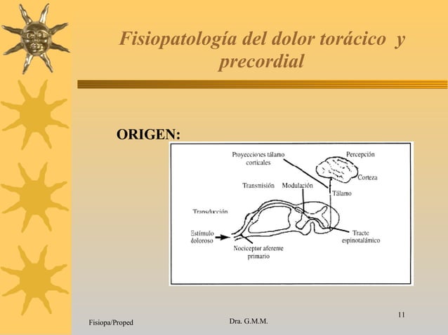 24. Dolor Toracico Y Precordial | PPT | Descarga Gratuita