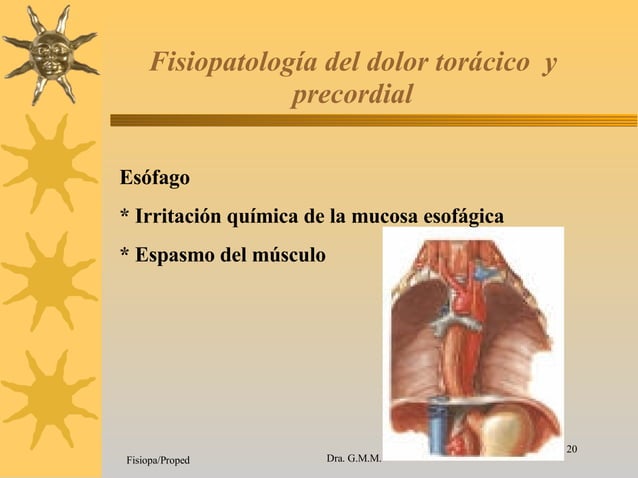 24. Dolor Toracico Y Precordial | PPT | Brain and Nervous System ...