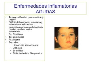 24. patologias de las glandulas salivales | PPT