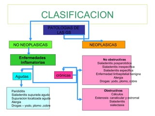 24. patologias de las glandulas salivales | PPT