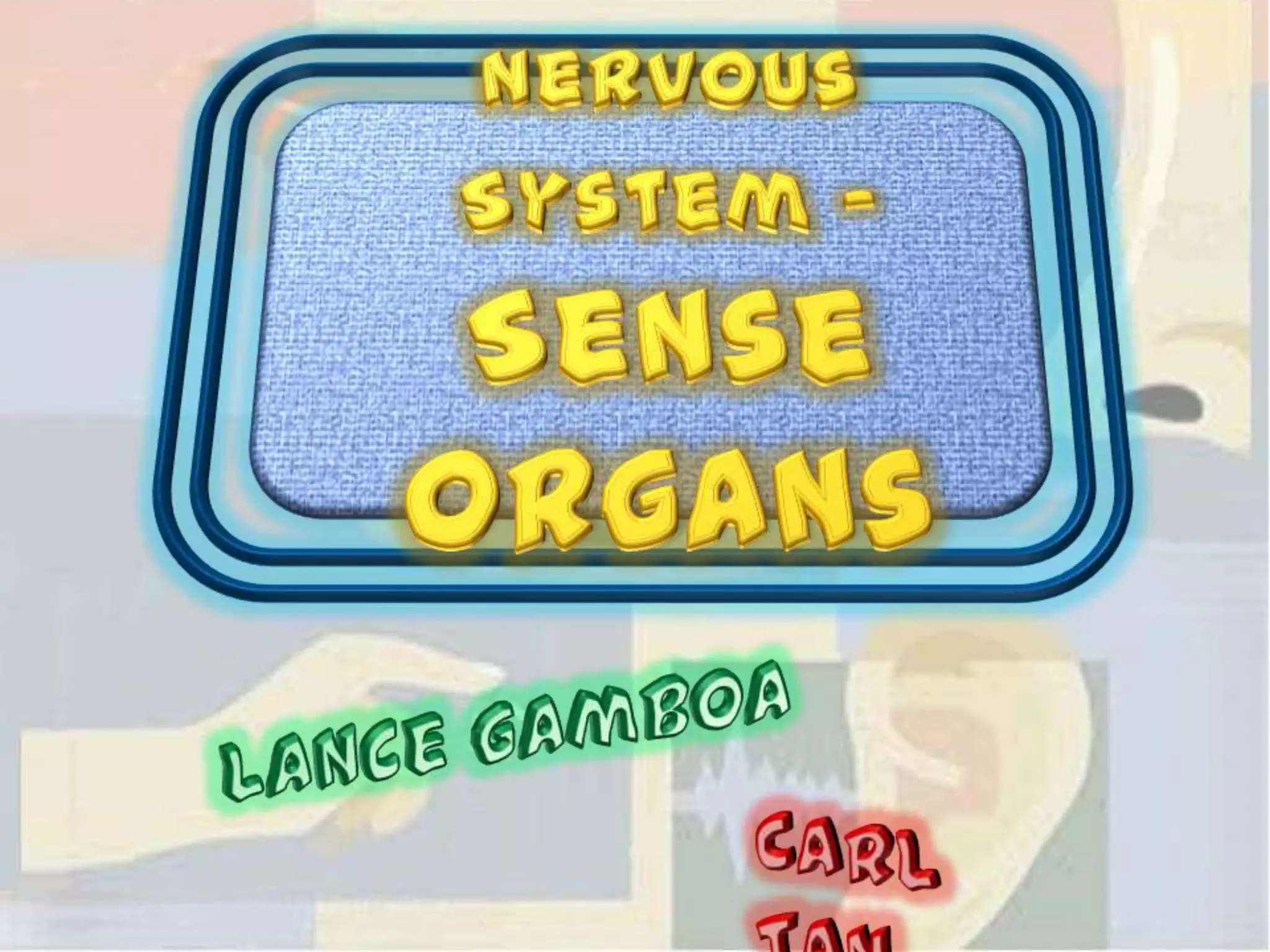 24. sense organs | PPTX