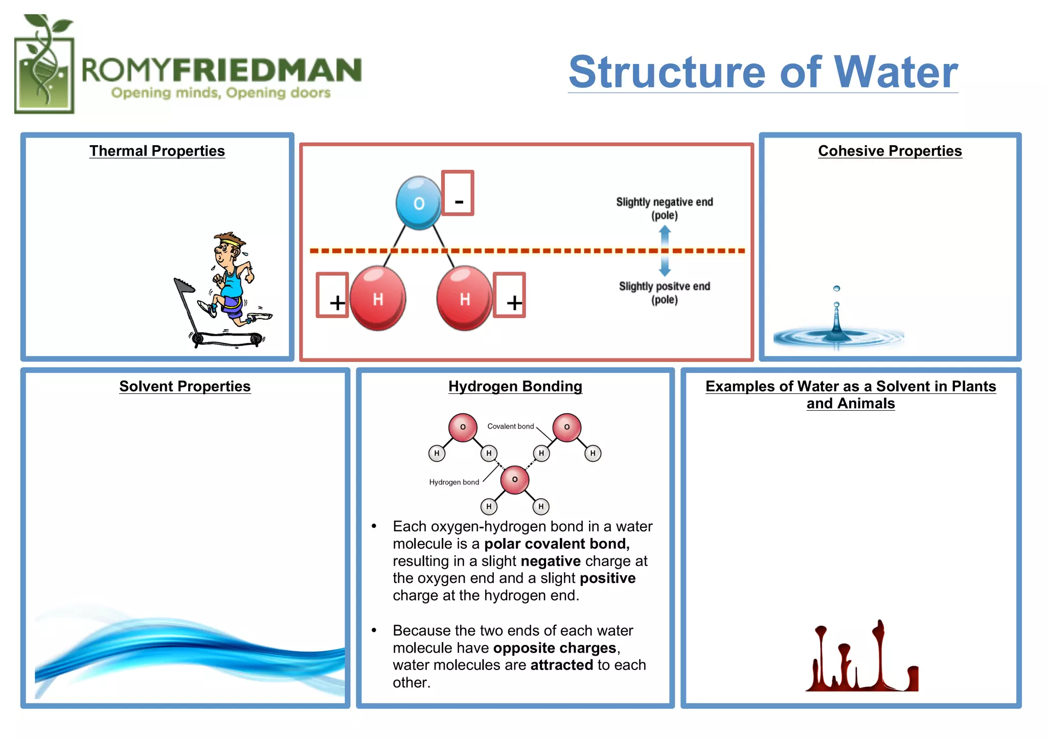 Structure of water | PDF
