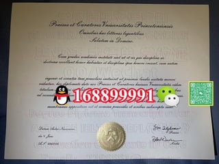 Princeton University degree offer diploma Transcript | PPT